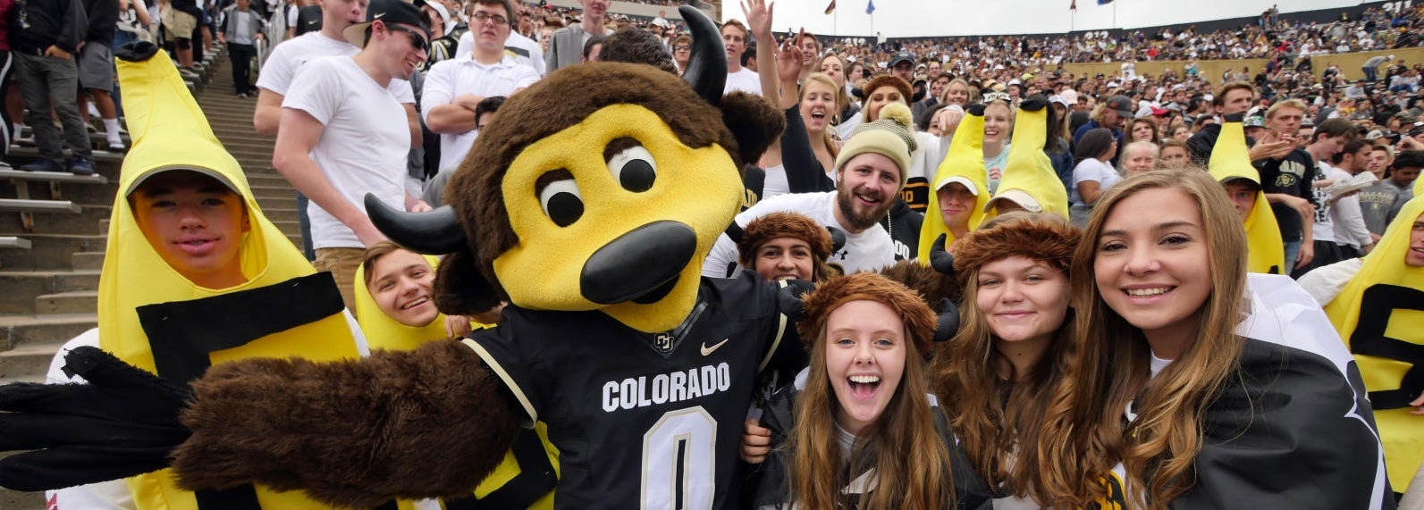 Top 10 facts about Chip, CU Boulder’s mascot | Alumni Association ...