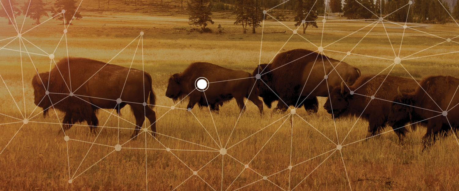 Alumni Association | University of Colorado Boulder