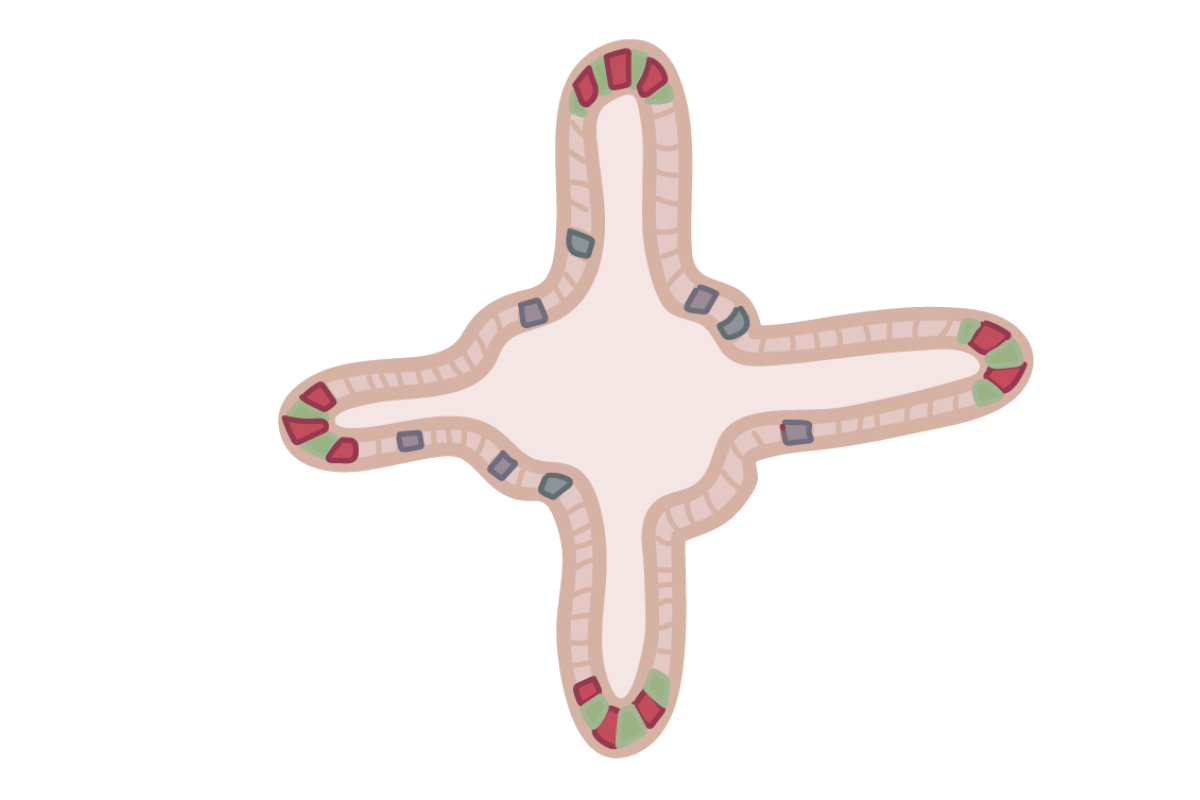 Research | Anseth Research Group | University of Colorado Boulder Research | Anseth Research Group | University of Colorado Boulder