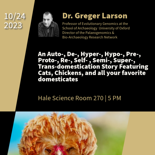 An Auto-, De-, Hyper-, Hypo-, Pre-, Proto-, Re-, Self- , Semi-, Super ...