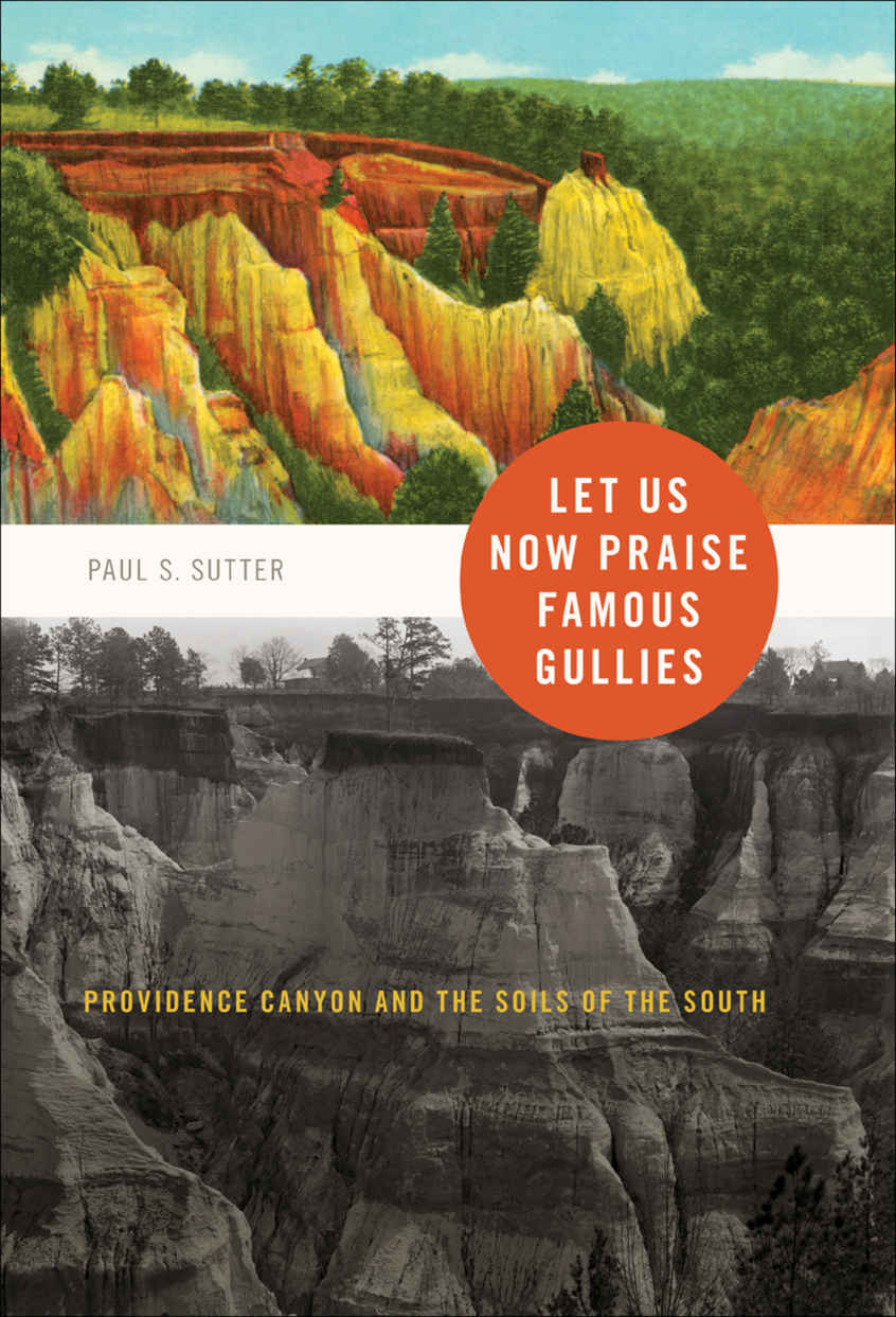 Let Us Now Praise Famous Gullies | Colorado Arts and Sciences Magazine ...