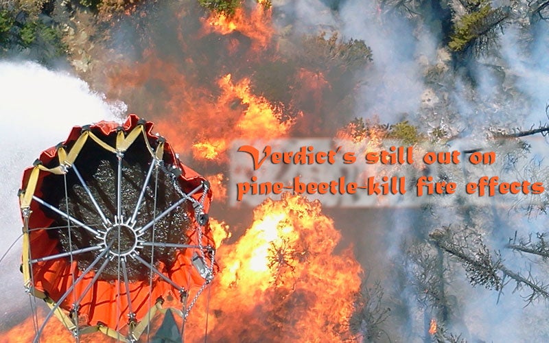 Verdict’s out on beetle-kill fire effects | Colorado Arts and Sciences ...