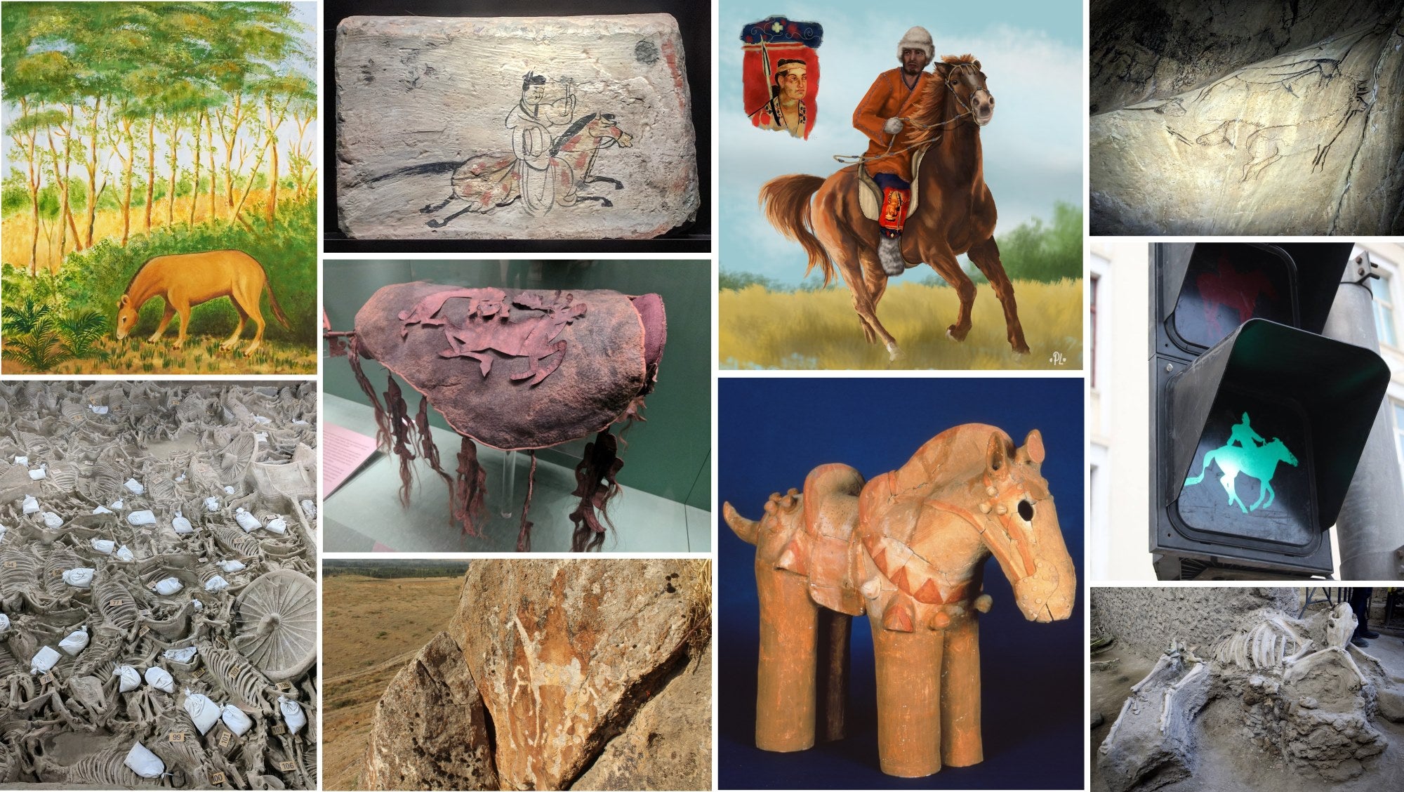 Horsepower: Professor unveils a new history of horses | Colorado Arts ...
