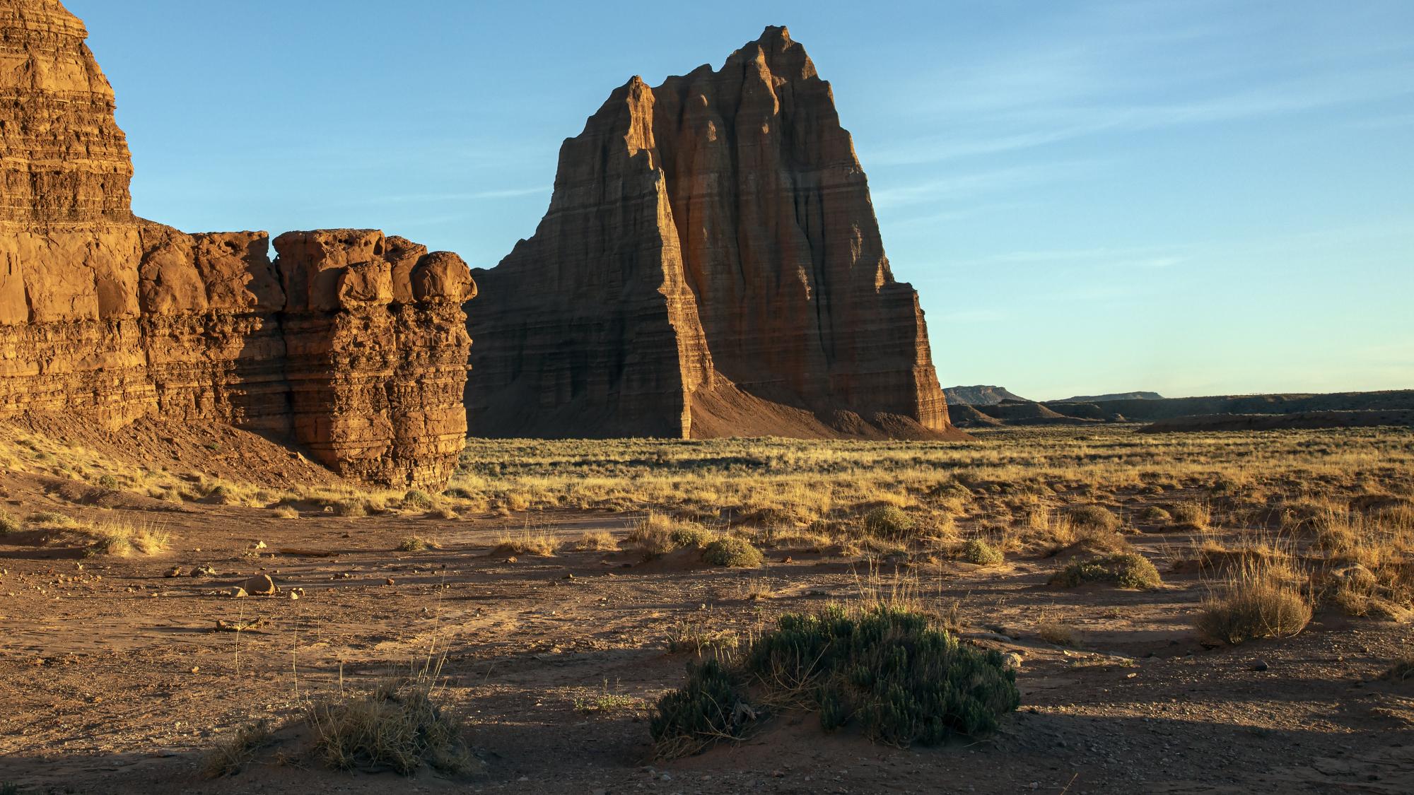 Saltbush evolved to filter dust from wind to form mounds | Colorado ...