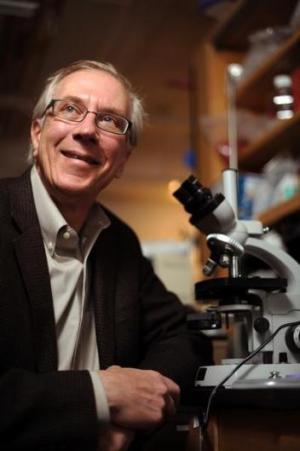 Learning to love the classroom: A Q&A with Best Should Teach Keynote ...