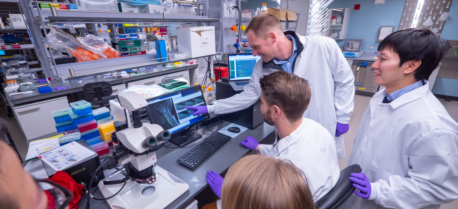 Bachelor's-Accelerated Master's | Biomedical Engineering | University ... Bachelor's-Accelerated Master's | Biomedical Engineering | University ...
