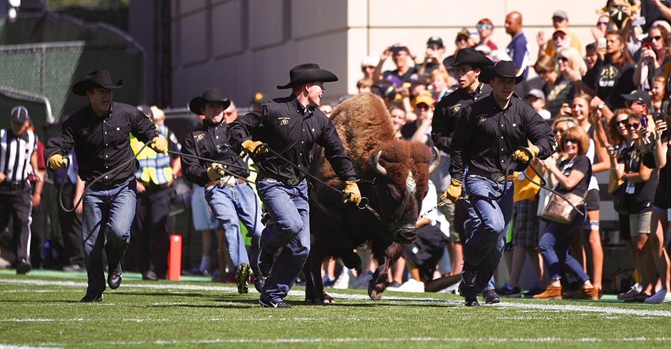 ‘Here Comes Ralphie,’ From Folsom Field to Leeds Résumés | Leeds School ...