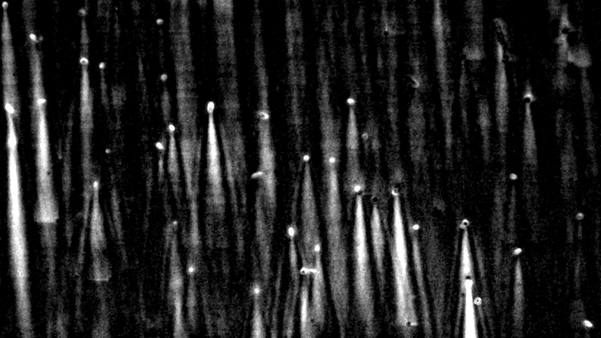 CU Boulder researchers harness nature to create living optical ...