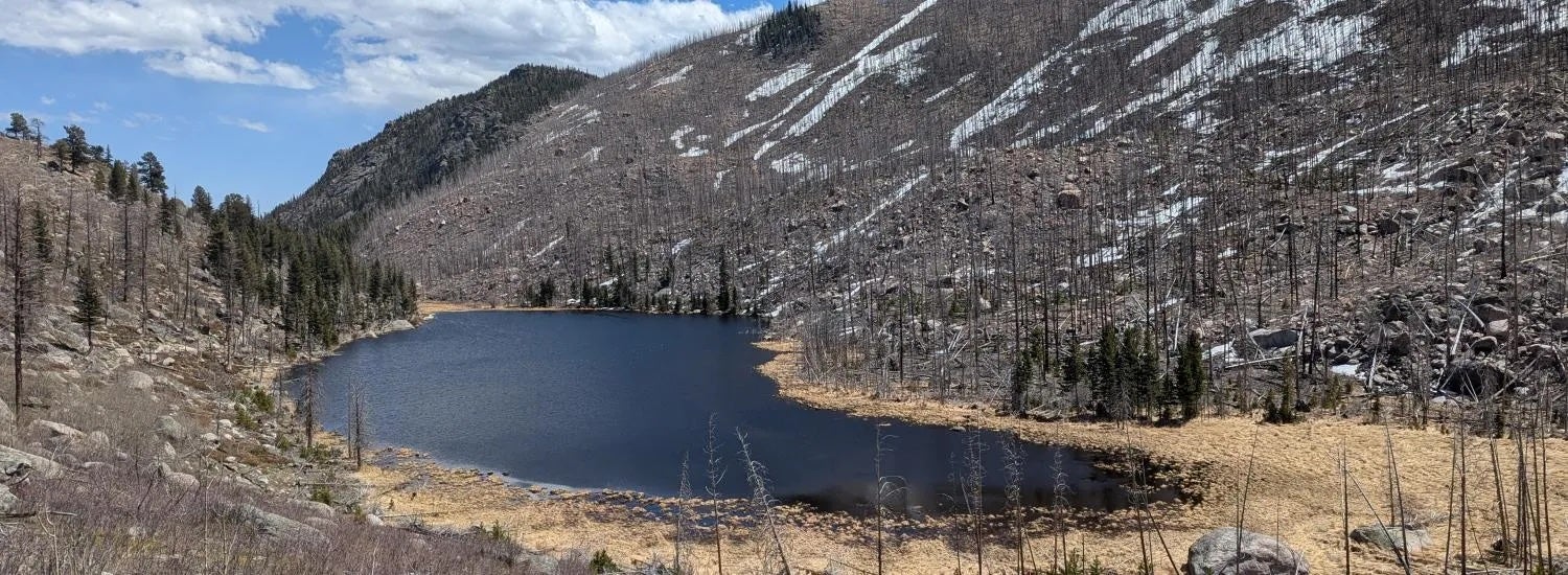 Wildfires threaten water quality for years after they burn | Civil ...