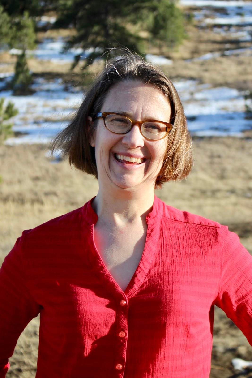 Amy Voida | Colorado Research Center for Democracy & Technology ...