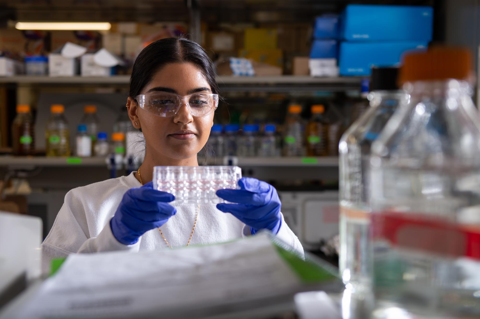 Updated major offers students flexibility in exploring biological ...