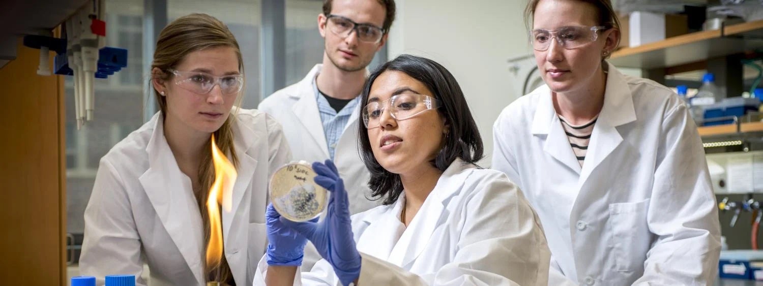 CU Boulder's Chem. Eng. BS program ranked 13th in the nation | Chemical ...