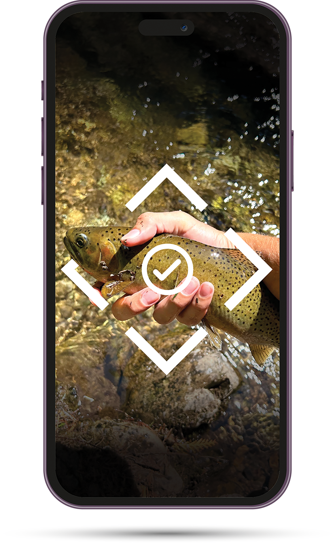 Student Work Gallery: Fall 2023 | CMDI Now | University of Colorado Boulder