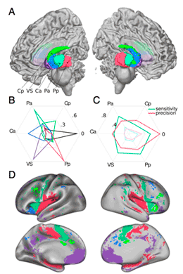 Cognitive Neuroscience | Psychology and Neuroscience Cognitive ...