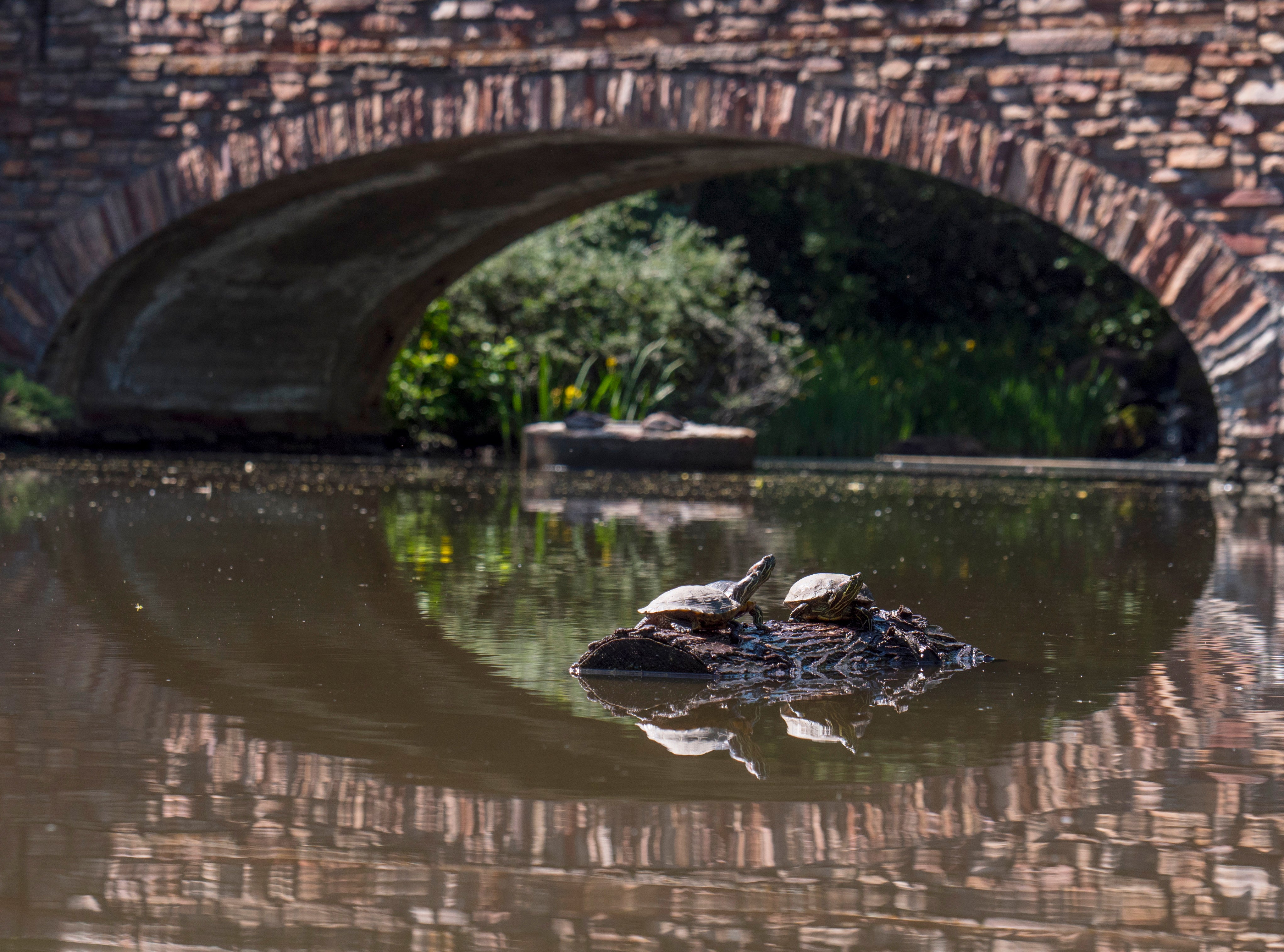 Campus Photo of the Week | Alumni Association | University of Colorado ...