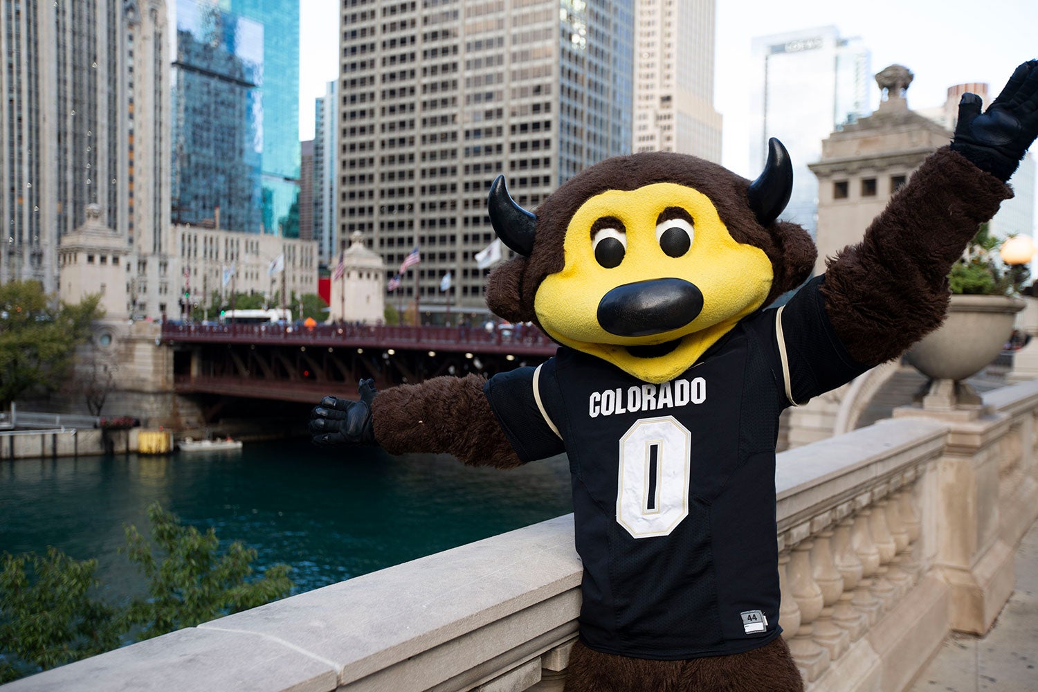 CU Boulder Next 2020 | Alumni Association | University of Colorado Boulder