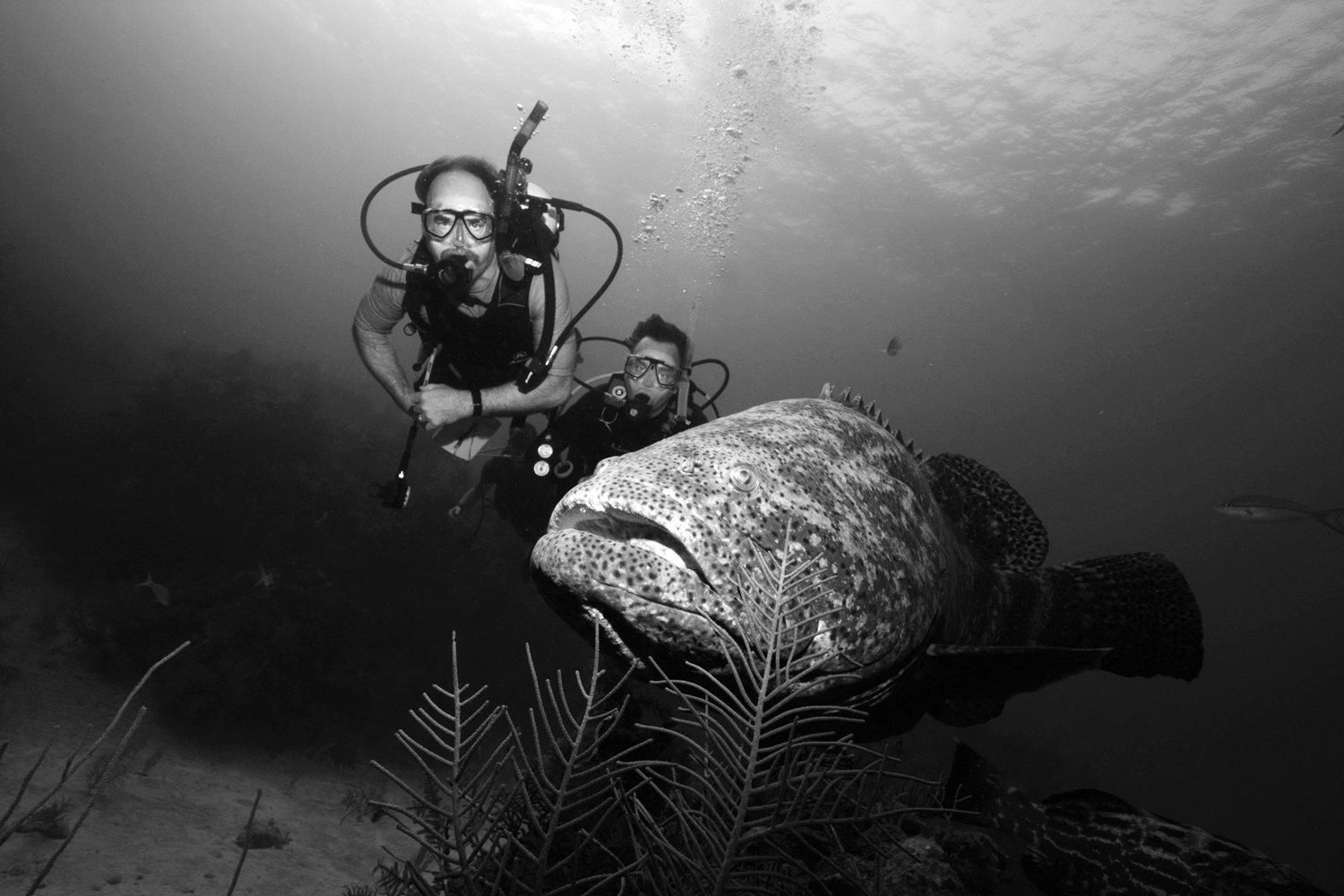 Environmentalist in Cuba | Alumni Association | University of Colorado ...
