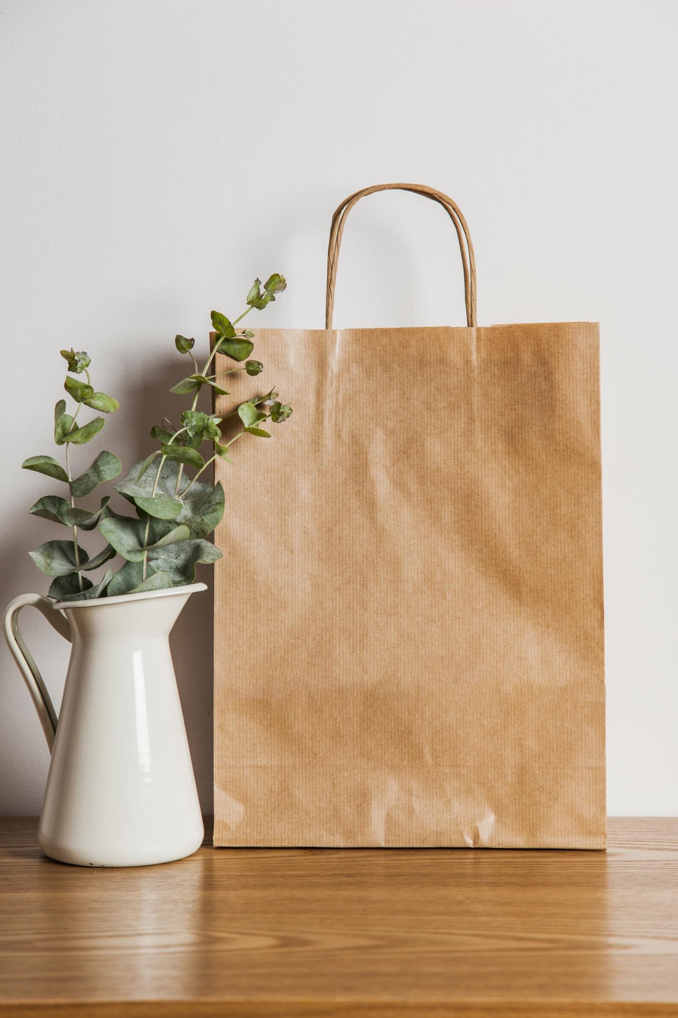 Prepare for the 10-cent bag fee | Campus Controller's Office ...