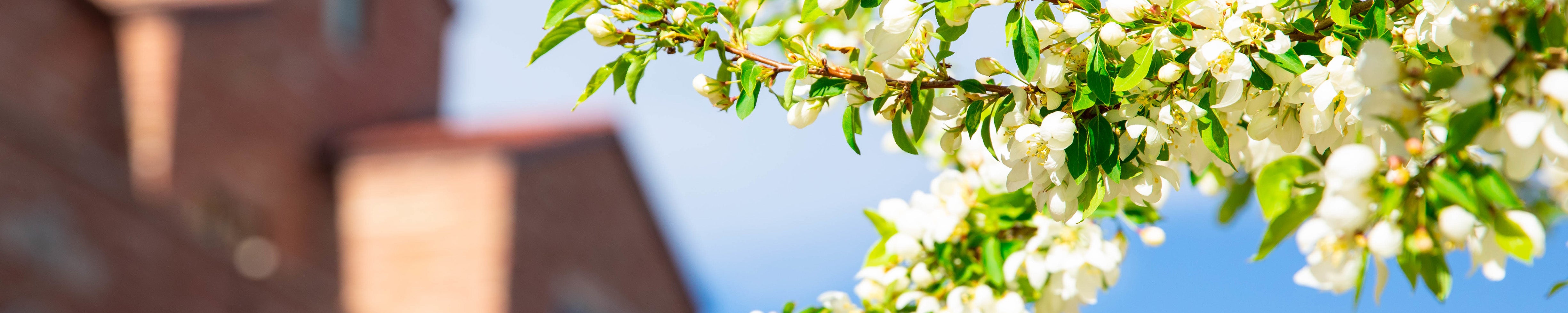 Reproductive Rights | Counseling and Psychiatric Services | University ...