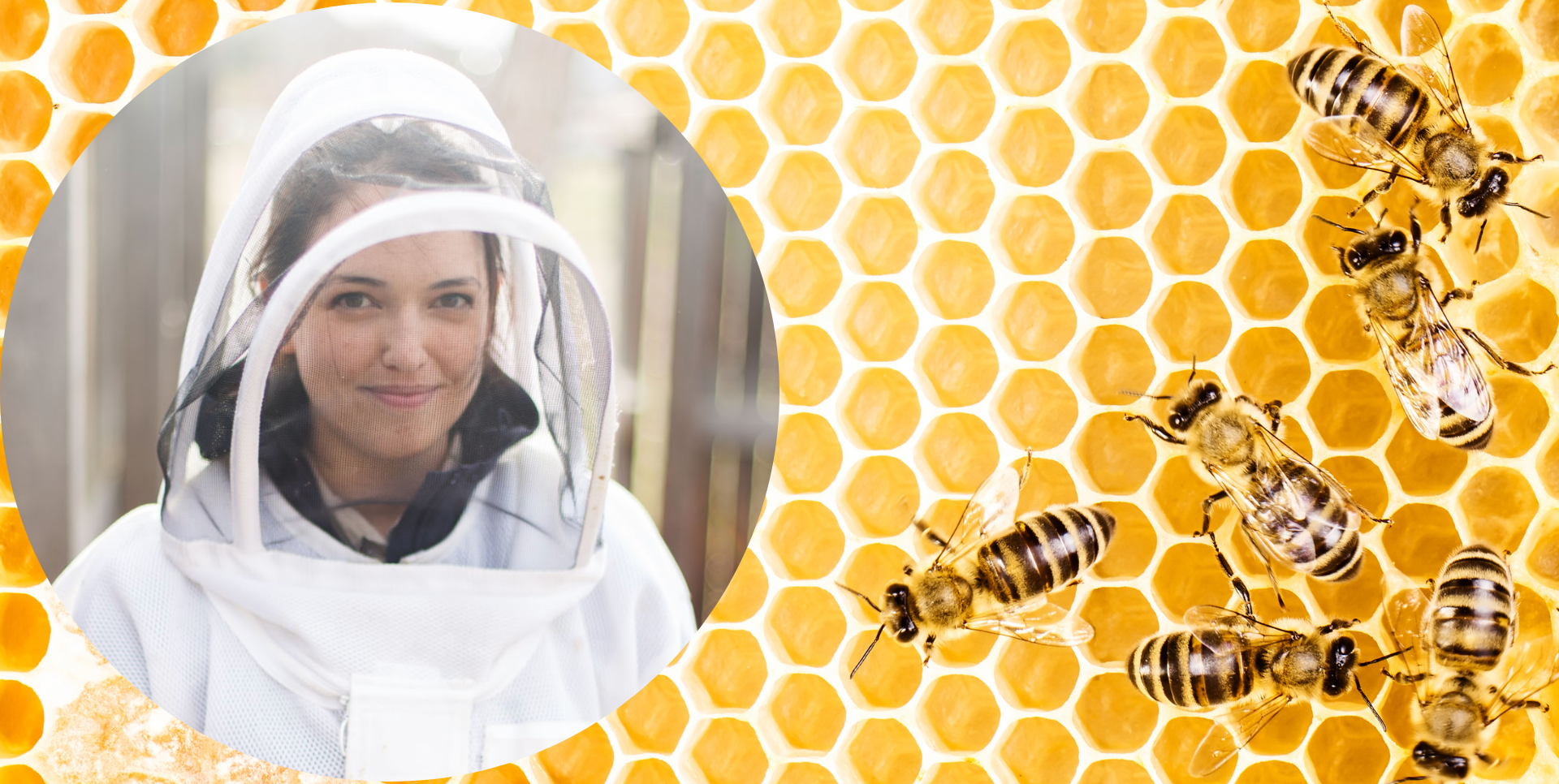 Orit Peleg selected as a 2024 Schmidt Science Polymath | Computer Science | University of ...