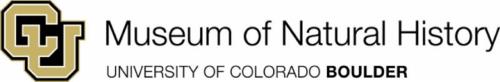 GAMES Girls at the Museum Exploring Science | Center for STEM Learning ...