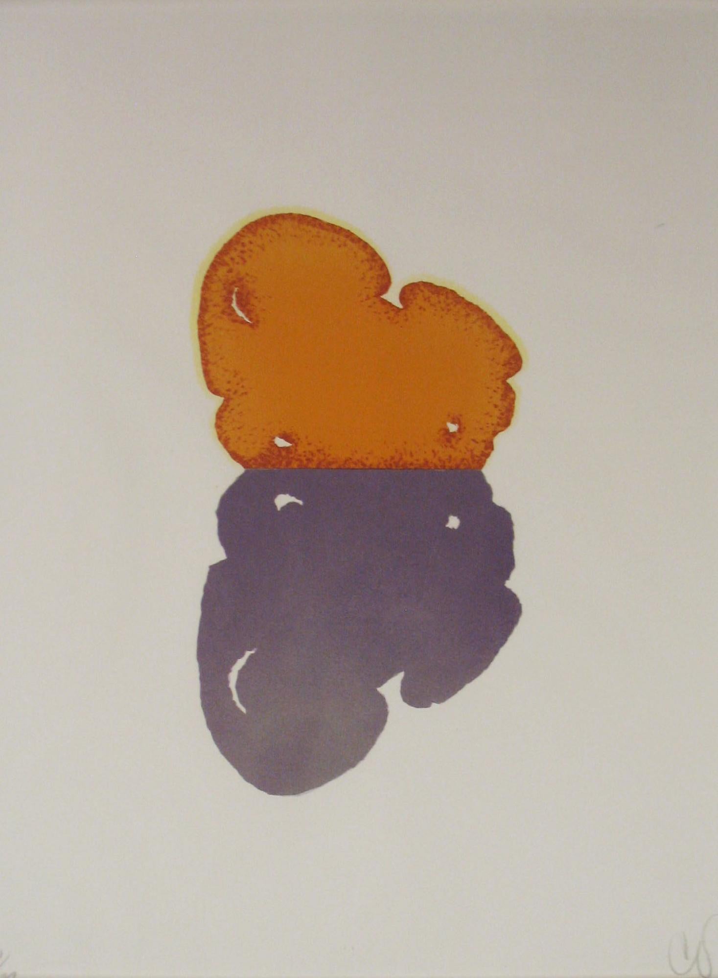 The Surface & Shadow of COVID-19 | Art Museum | University of Colorado ...