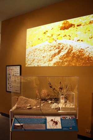 Past Projects | Museum of Natural History | University of Colorado Boulder
