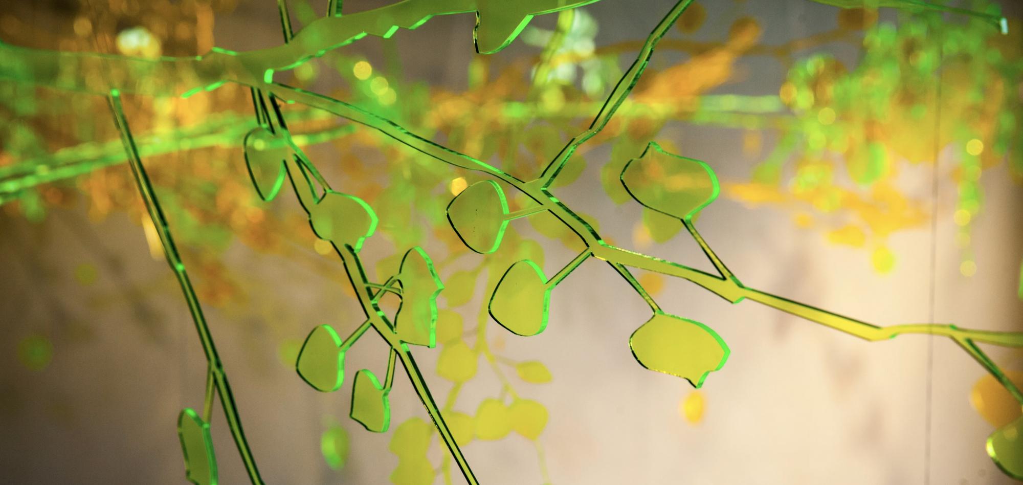 Urban Biophony | Museum of Natural History | University of Colorado Boulder