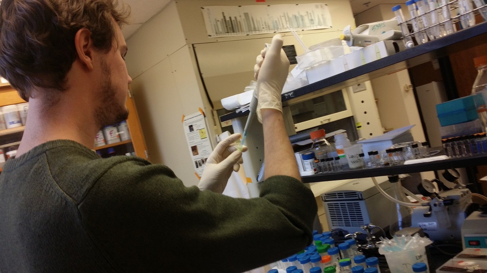 The Macro and the Micro - Andrew Hansen | Ecology and Evolutionary ...