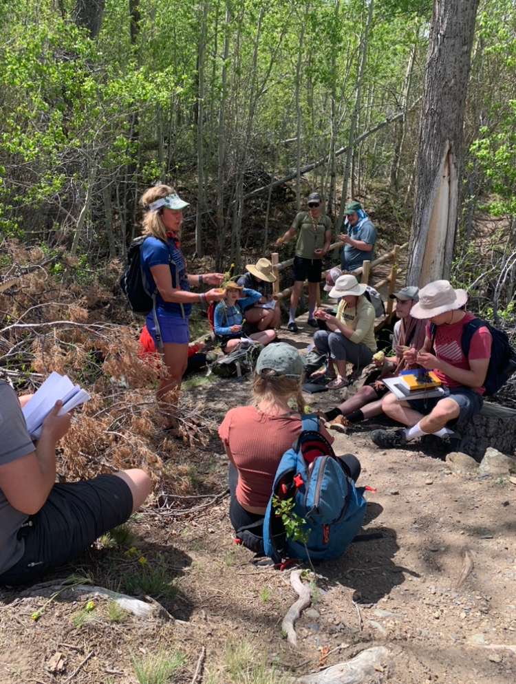 Colorado Field Botany Course 2023 | Ecology and Evolutionary Biology ...
