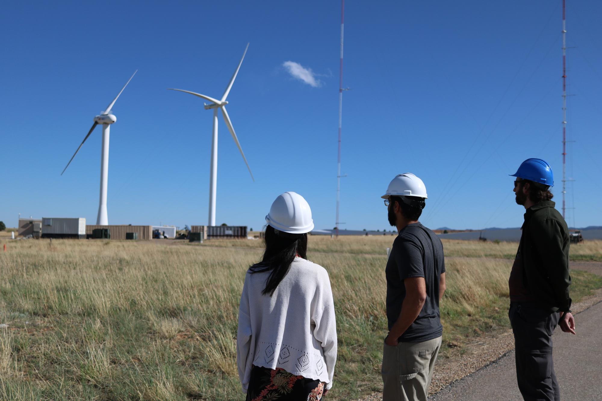 Expanding the scope: Researchers explore wind farm co-design with ...