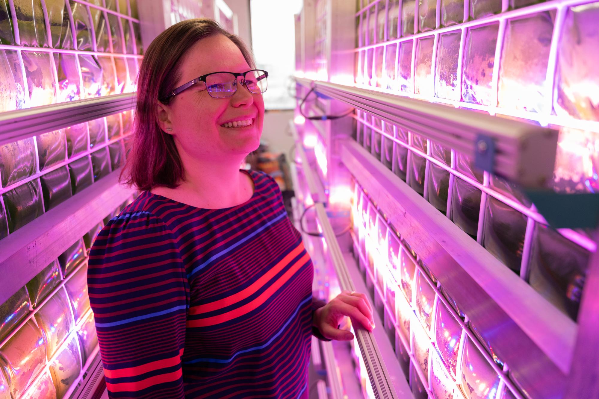 Building Blocks | College of Engineering & Applied Science | University ...