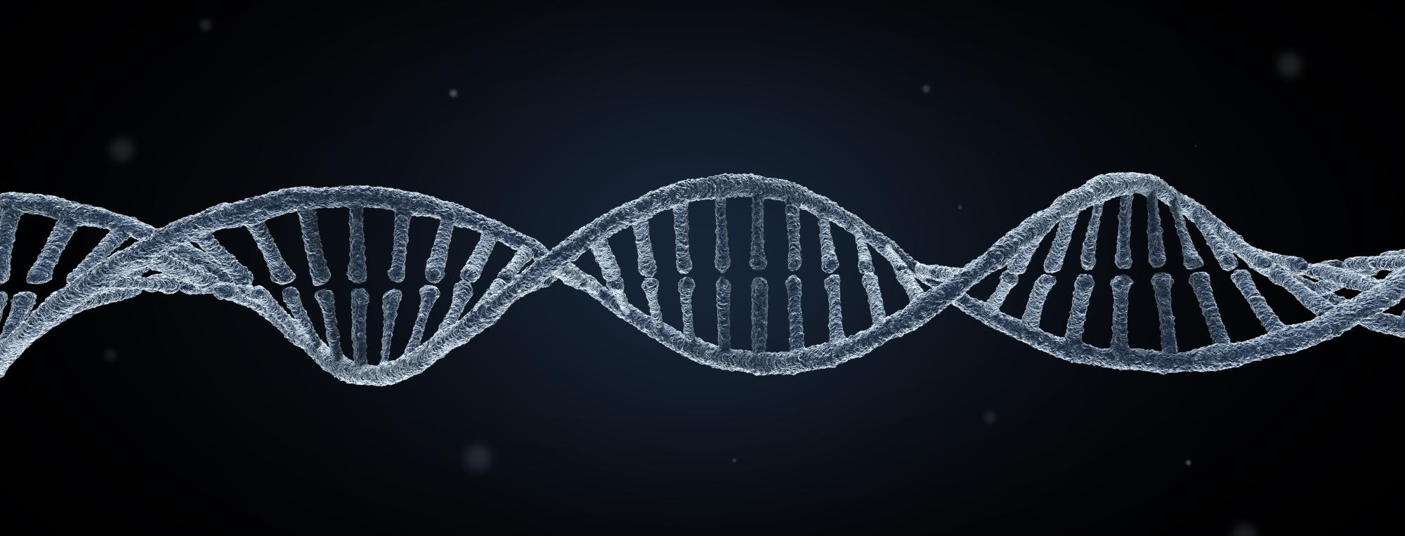 New software aims to speed and improve identification of DNA variations ...