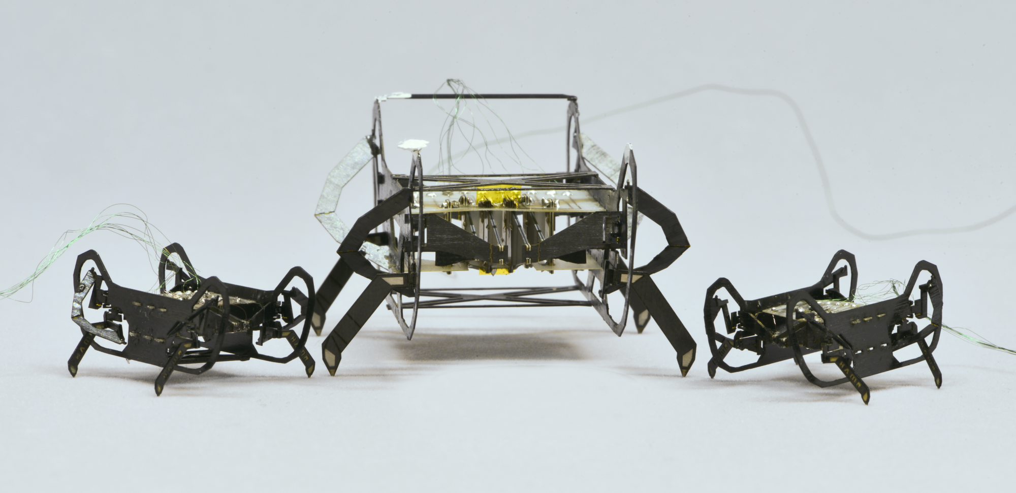 From insects to robots: Jayaram takes inspiration from nature | College ...