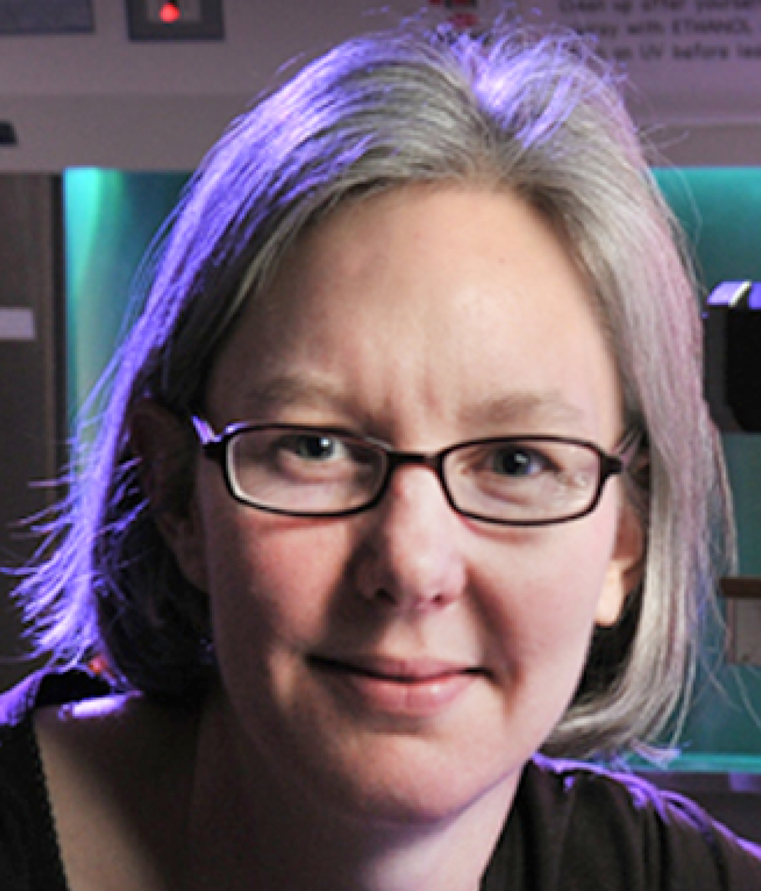 Stephanie Bryant | College of Engineering & Applied Science ...