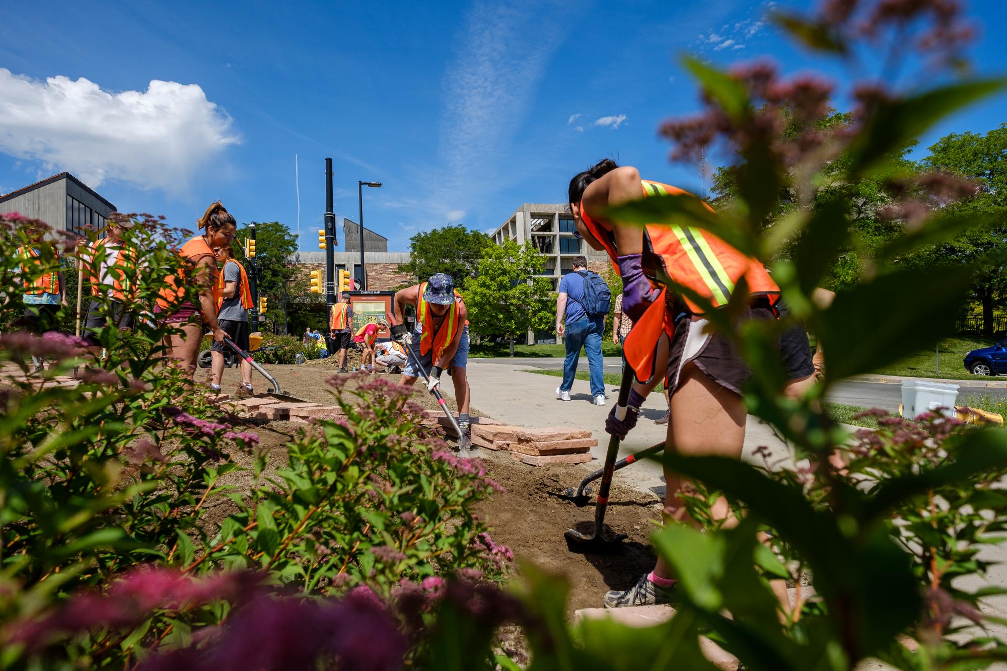 Environmental design students create pollinator garden on campus ...
