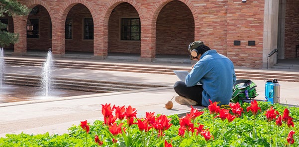 Reinstatement and Readmission | Program in Exploratory Studies ...