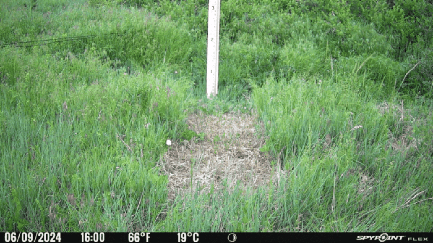 Non-perennial streamflow and sediment mobilization in a semi-arid ...