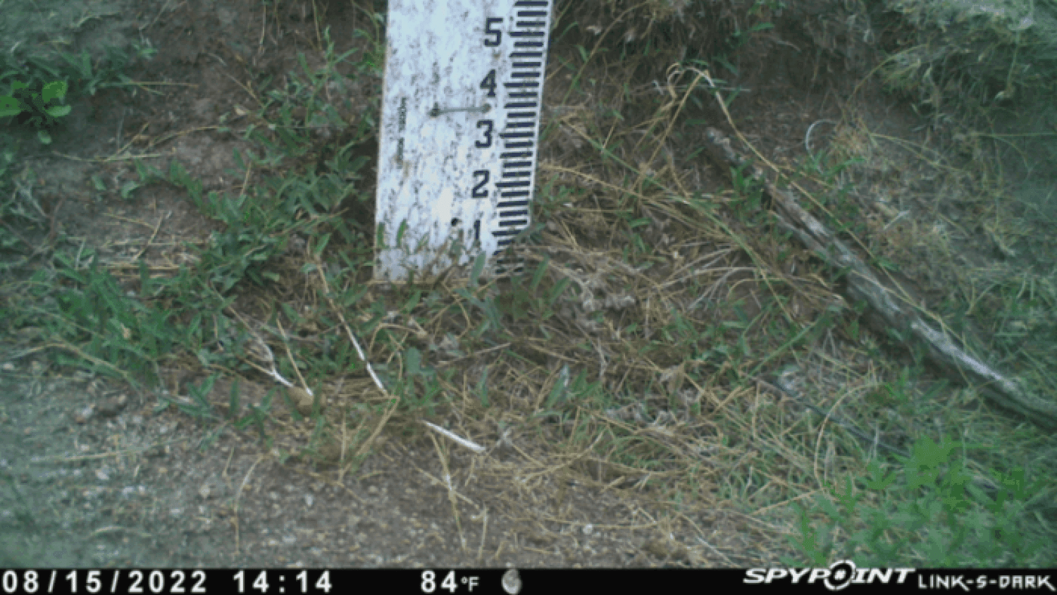 Non-perennial streamflow and sediment mobilization in a semi-arid ...