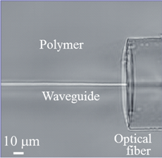 3D Optical Waveguides | McLeod Lab | University of Colorado Boulder