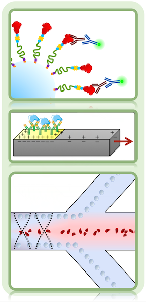 Biosensing | Shields Lab | University of Colorado Boulder