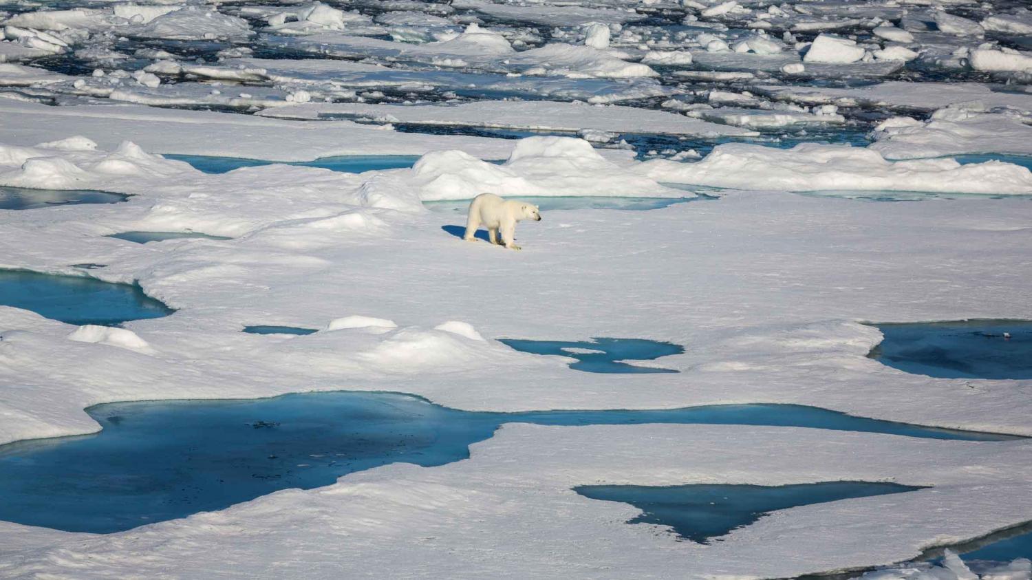 Arctic Climate, Environment & Geographies of a Changing North from ...
