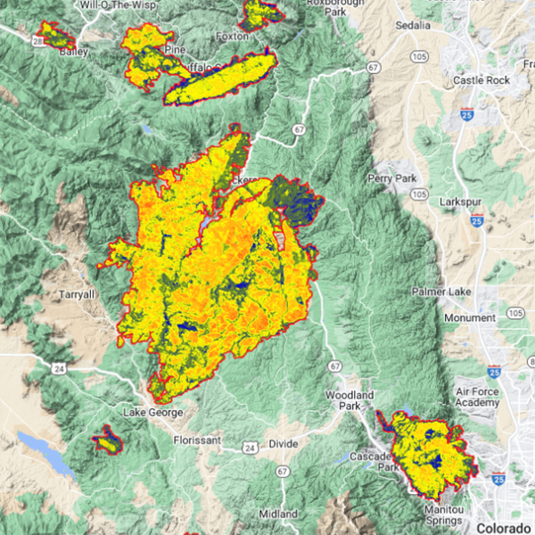 Trends in wildfire extent, severity, and refugia in Western Forests ...