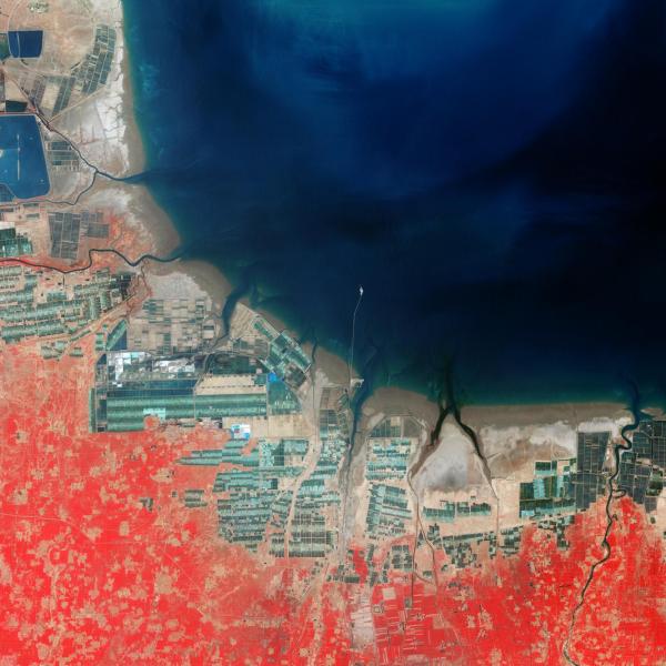 Neil Brenner: Is the world urban? | Geography | University of Colorado ...