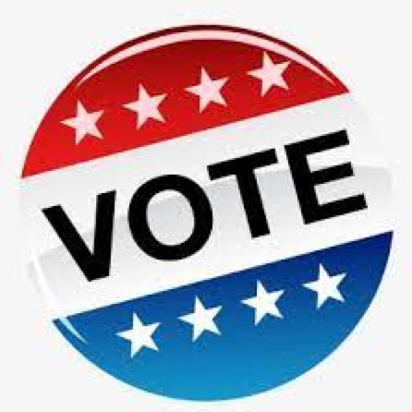 Remember to Vote! | Graduate and Professional Student Government ...