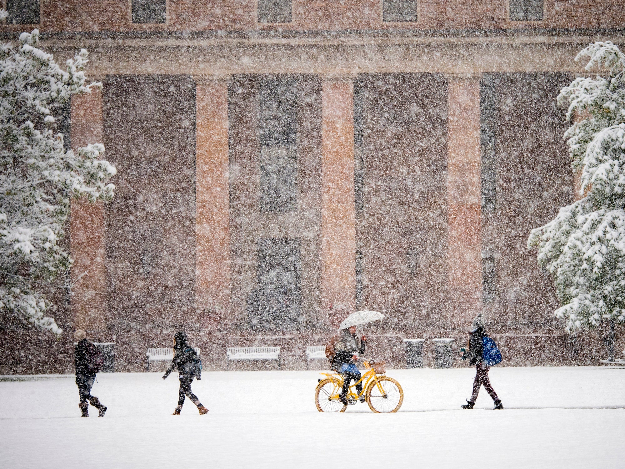 December 2025 Graduate School Bulletin | Graduate School | University ...