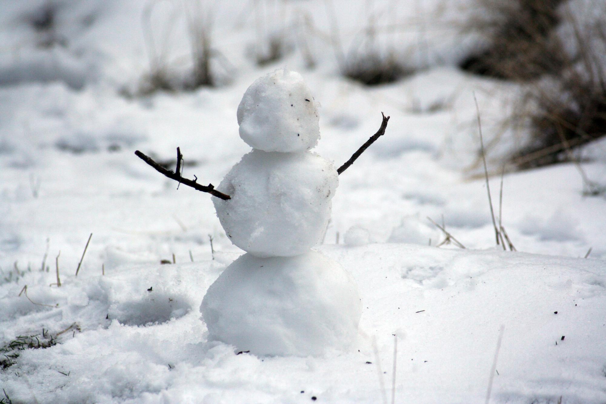 Additional Holiday Leave Instructions | Human Resources | University of ...