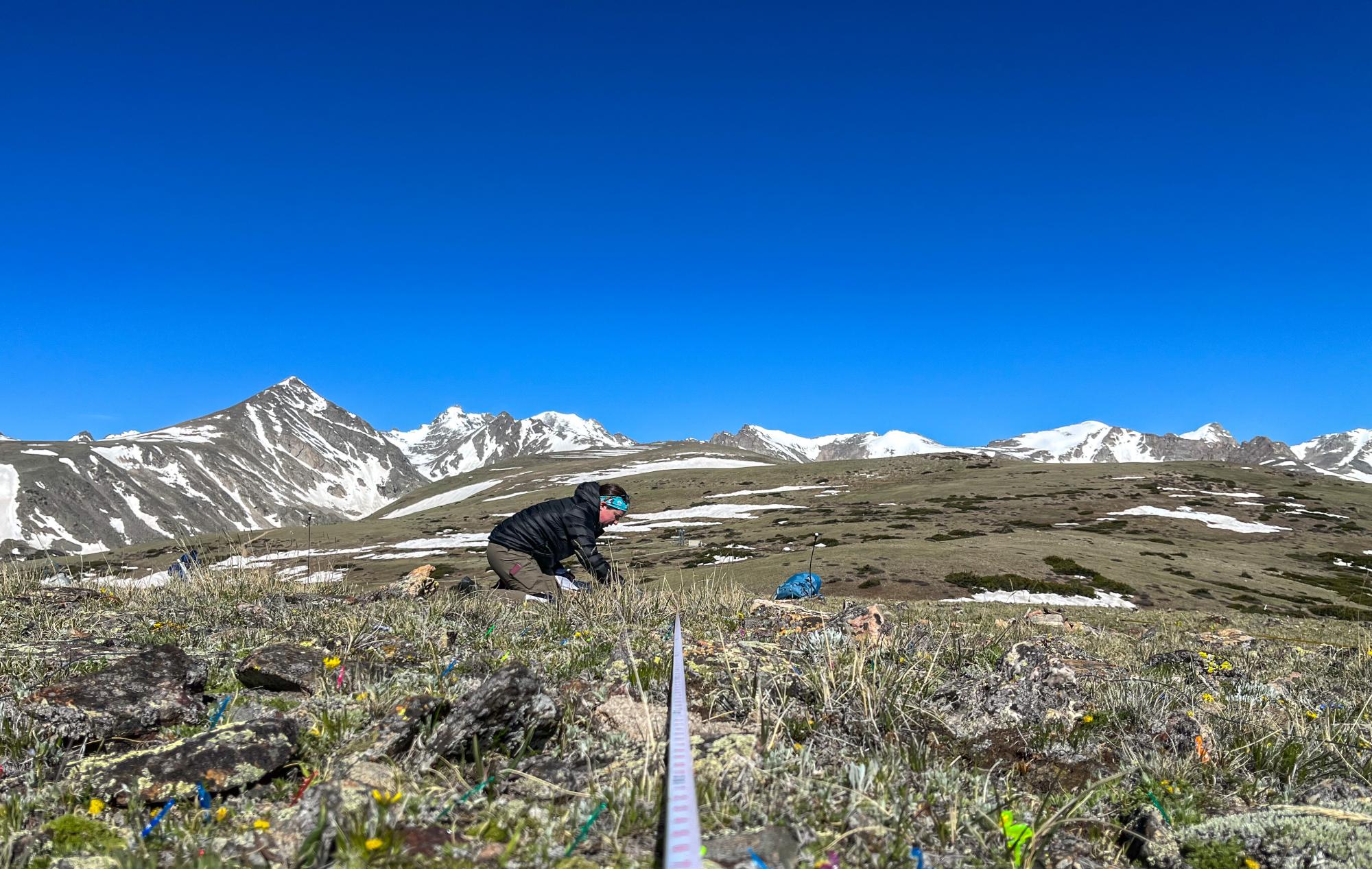 Scientists at the Mountain Research Station investigate changing ...