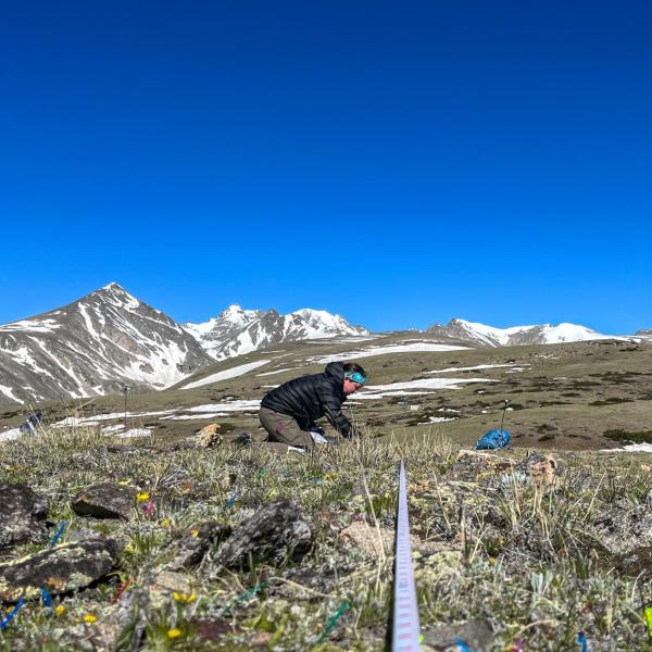 Scientists at the Mountain Research Station investigate changing ...