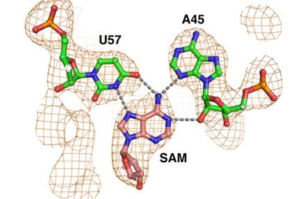 SAM-I | The Batey Laboratory | University of Colorado Boulder